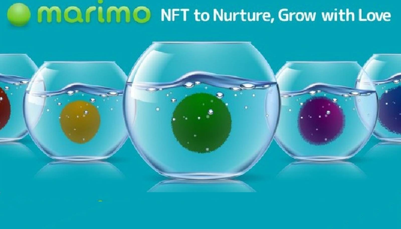 marimo.life(マリモNFT)とは？特徴と将来性を解説 – Mediverse｜暗号資産（仮想通貨）の専門メディア