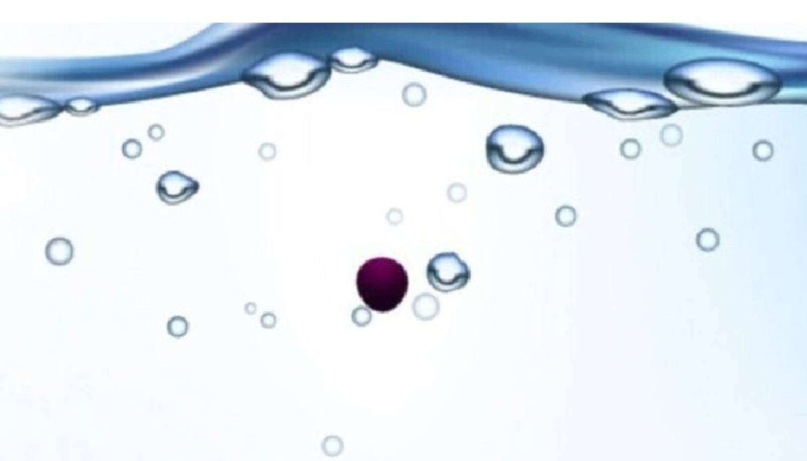 marimo.life(マリモNFT)とは？特徴と将来性を解説 - HUBSTAR